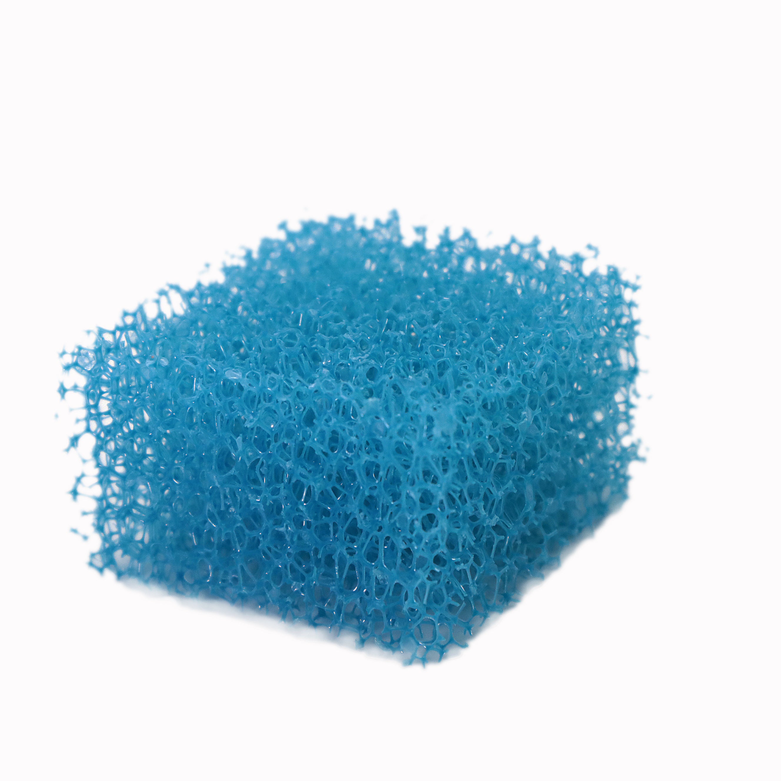 Scotty's Professional Stipple Sponge Course – Scotty's Makeup & Beauty